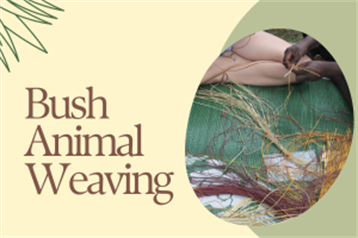 Bush Animal Weaving Workshop - Maribyrnong